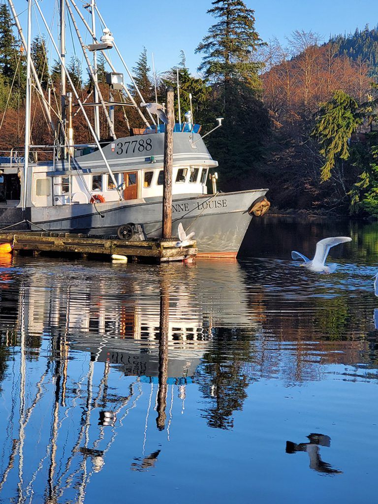 Alaska Locum Tenens Nurse Practitioner Jobs | Wilderness Medical Staffing