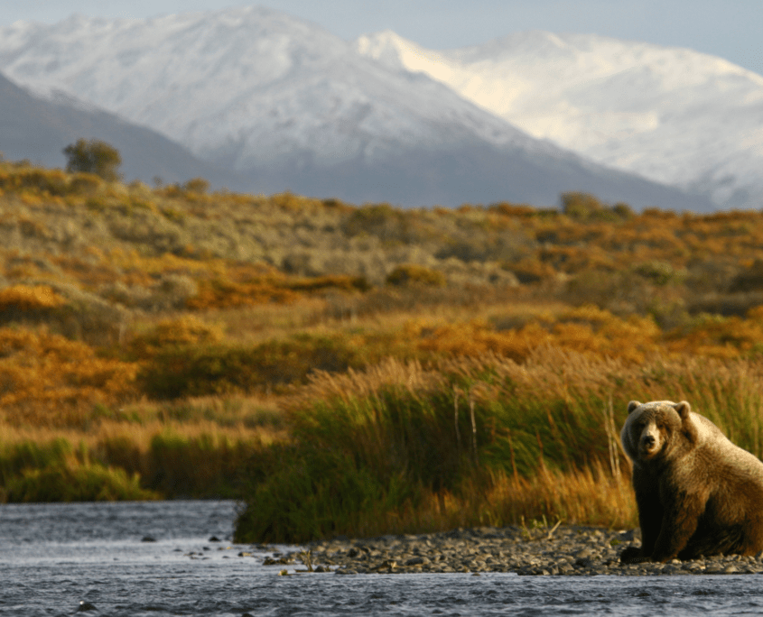 Homepage - Wilderness Medical Staffing